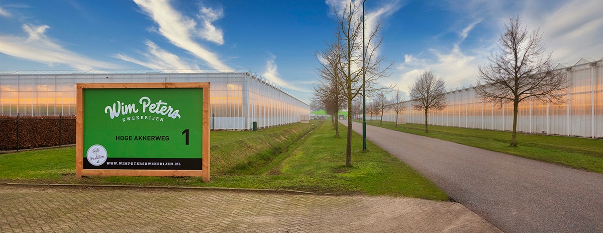 Wim Peters Kwekerijen | Elpress