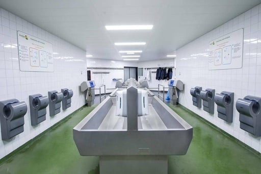 Hand cleaning | Elpress