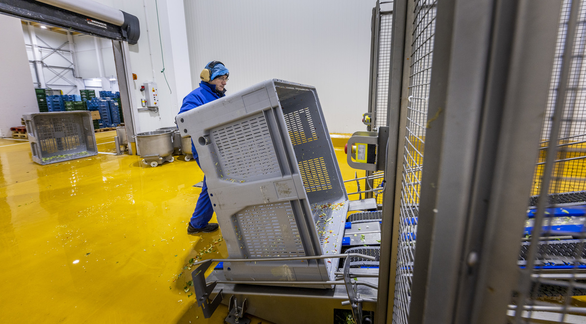 Efficient and energy-efficient box washer from Elpress