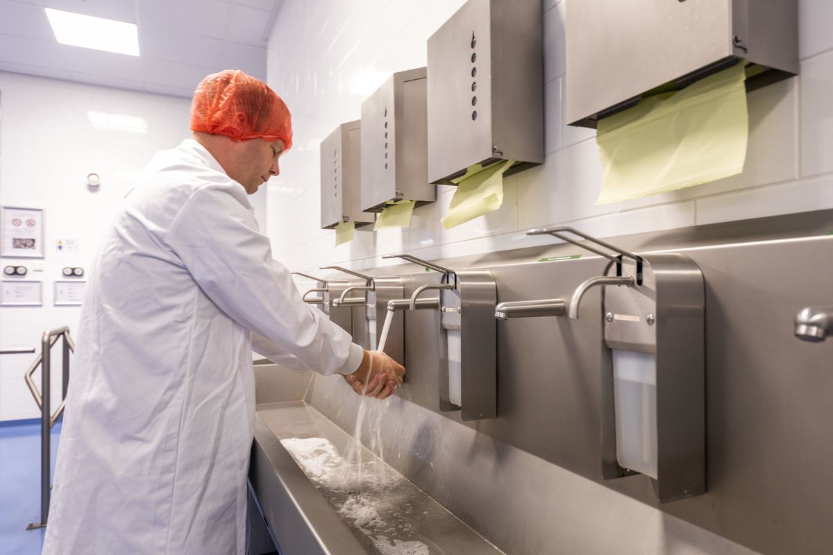 Paper Dispensers | Sustainable and cost-saving solutions | Elpress